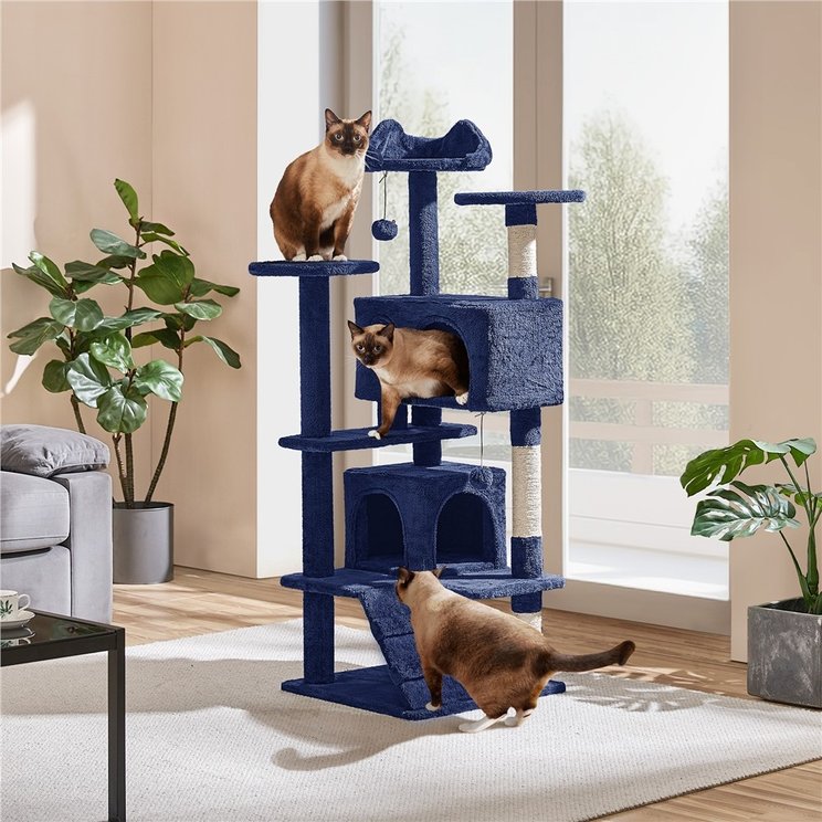 BLUE CAT TREES & CONDOS (Free Shipping) | Chewy