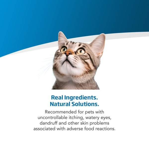 FARMINA VET LIFE Derma Management Pork Feline Wet Cat Food, 3-oz can ...