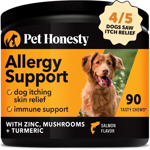 Immune Support For Dogs With Cancer (Free Shipping) | Chewy