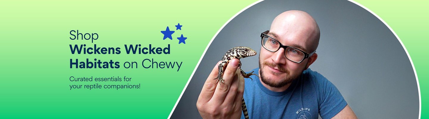 Wickens Wicked Reptiles Chewy Storefront - Free shipping | Chewy