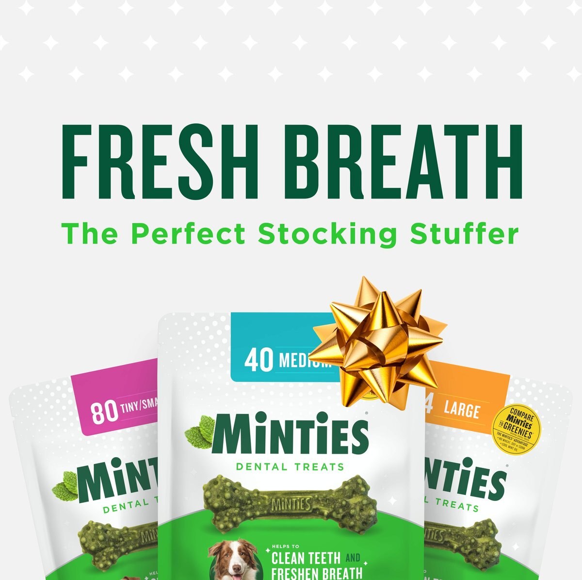MINTIES Medium Mint Flavored Dental Treats for Dogs, 25-50 lbs, 6.4-oz ...