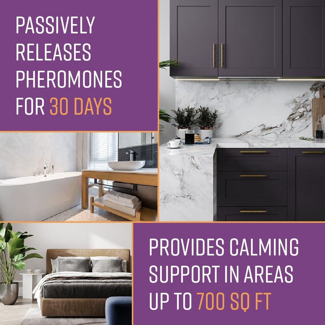 SENTRY Behavior Portable Calming Diffuser for Cats - Chewy.com