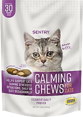 Cat Travel Accessories, Carriers & Calming Aids (Free Shipping) | Chewy