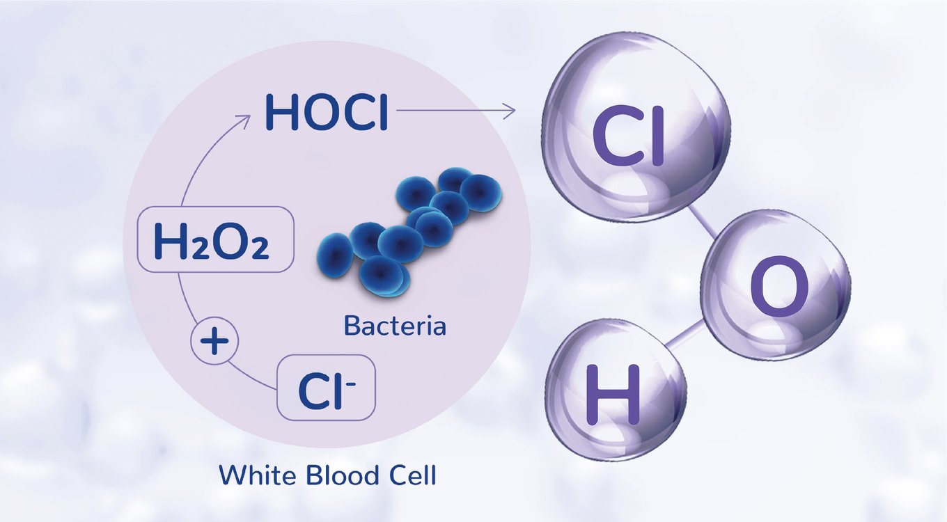 HICC PET Antibacterial Cat & Dog Ear Rinse with Cotton Swabs, 4-fl oz ...