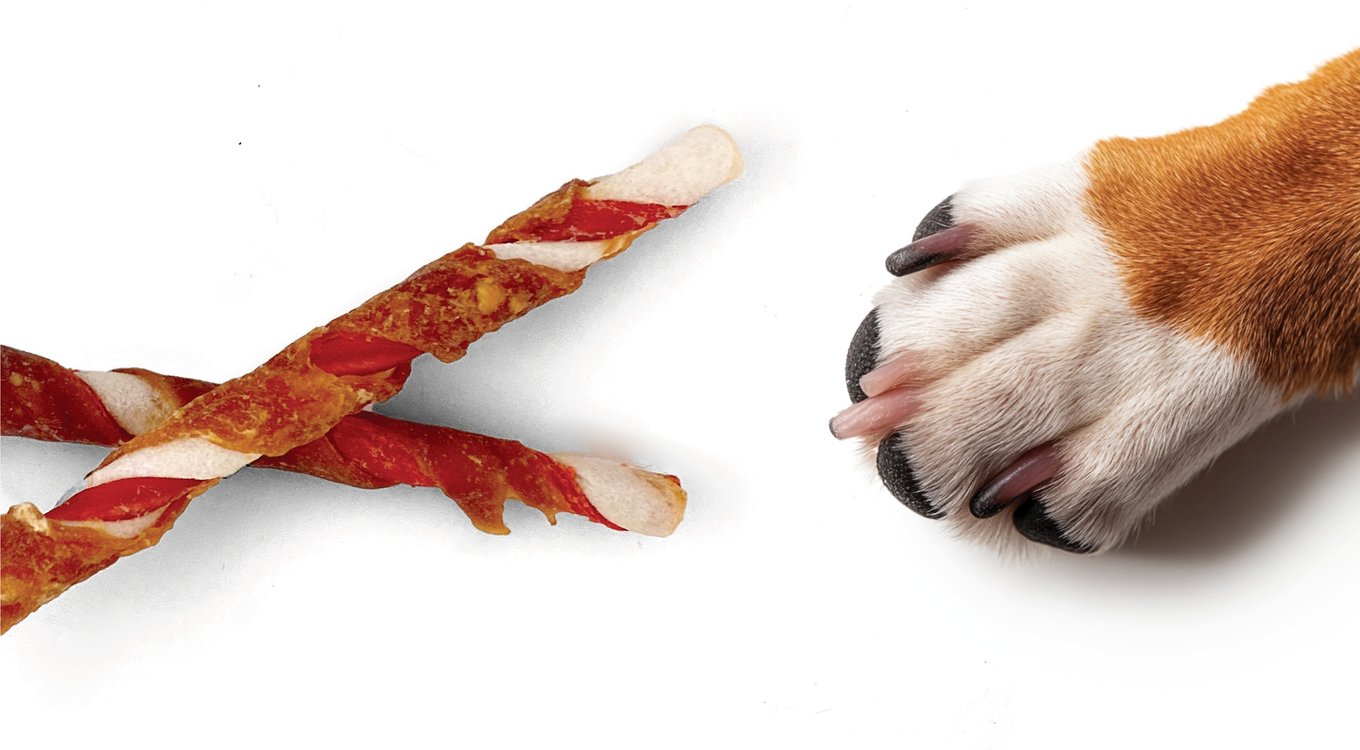 CHOMP'EMS 7"Hide-Free Chicken Rolls Dog Treats, 2 count - Chewy.com