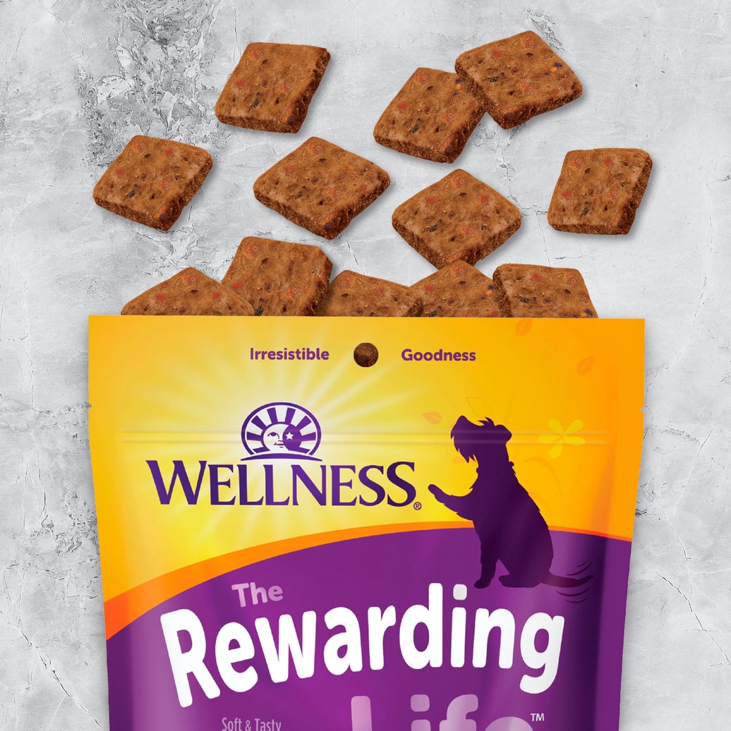 Soft Dog Treats: Chewy & Tasty (Free Shipping) | Chewy