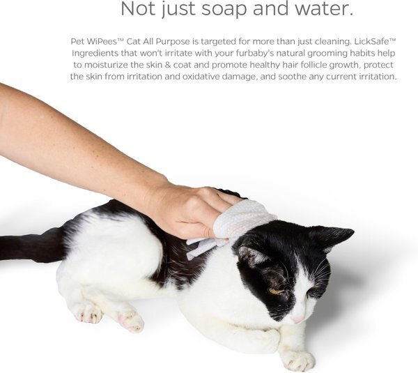 PET PARENTS Pet WiPees Natural Scent All Purpose Cat Cleaning Wipes ...