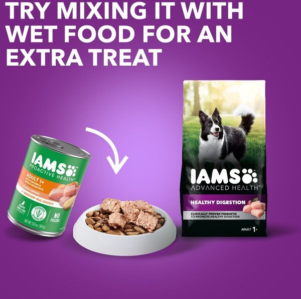 IAMS Advanced Health Adult Healthy Digestion with Real Chicken Dry Dog ...