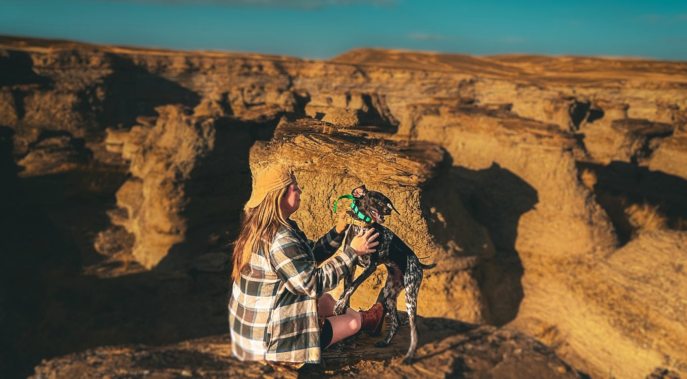 DOGTRA Pathfinder 2 Mini TRX Dog GPS Tracking Receiver Collar, Blue ...