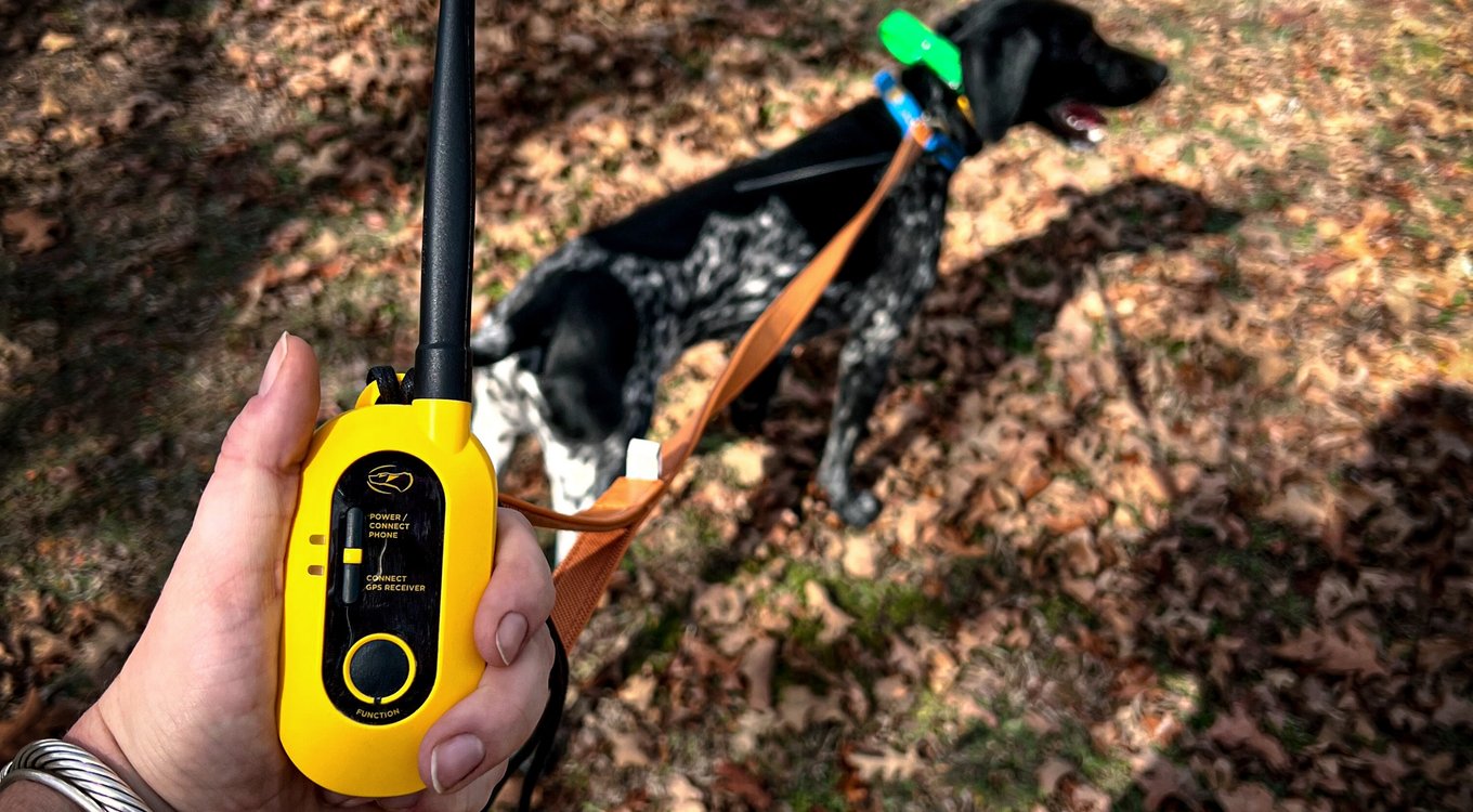 DOGTRA Pathfinder 2 Mini TRX Dog GPS Tracking Receiver Collar, Orange ...