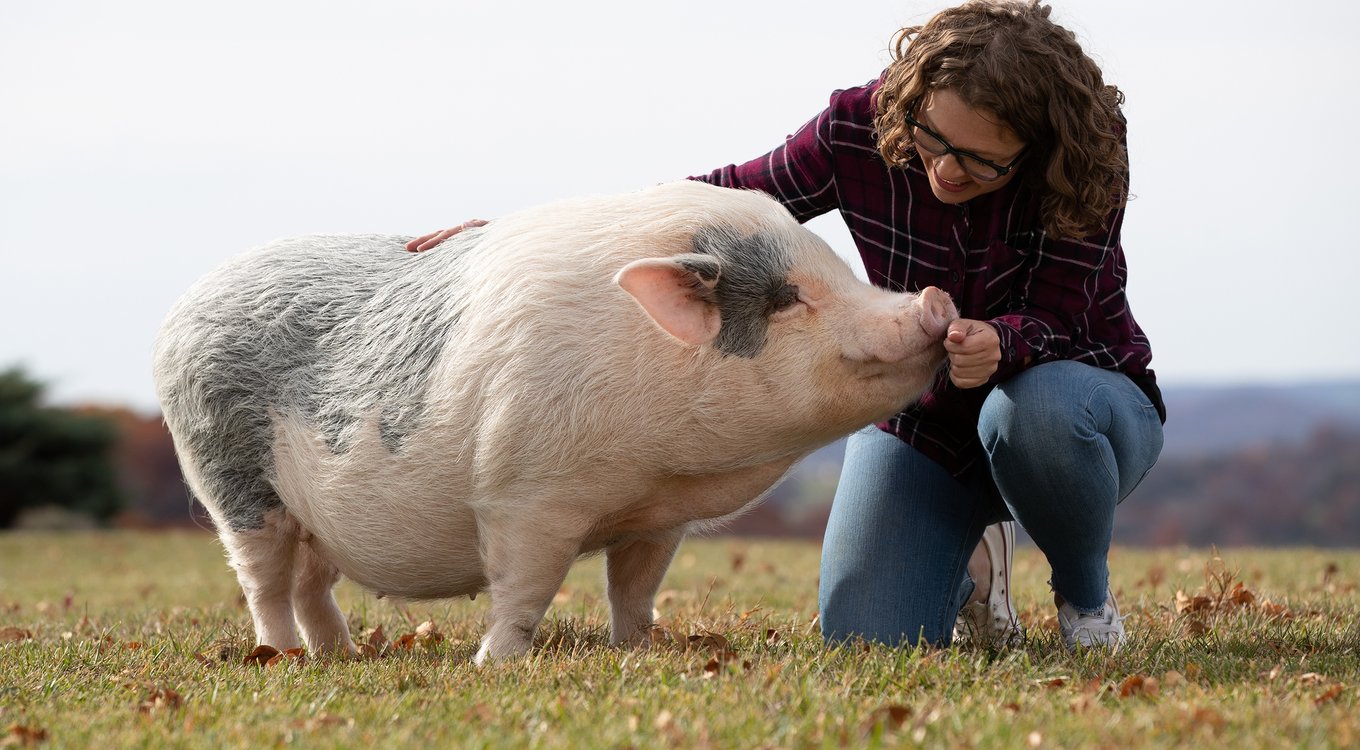 MAZURI Ratite Maintenance Pellet Emu & Ostrich Food, 50-lb bag - Chewy.com