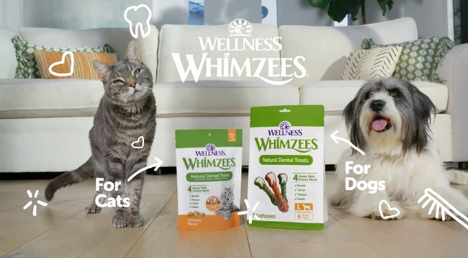 WHIMZEES by Wellness Natural Chicken & Salmon Dental Cat Treats, 2-oz ...