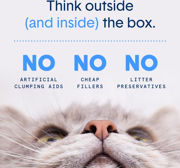 BOXIECAT Glo Natural Stress-Relief Non-Clumping Crystal Cat Litter with ...