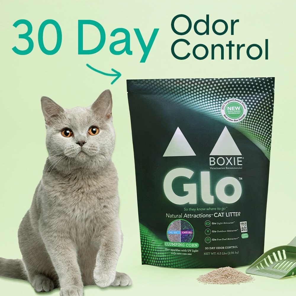 BOXIECAT Glo Corn Clumping Cat & Kitty Litter, 16.5-lb bag - Chewy.com