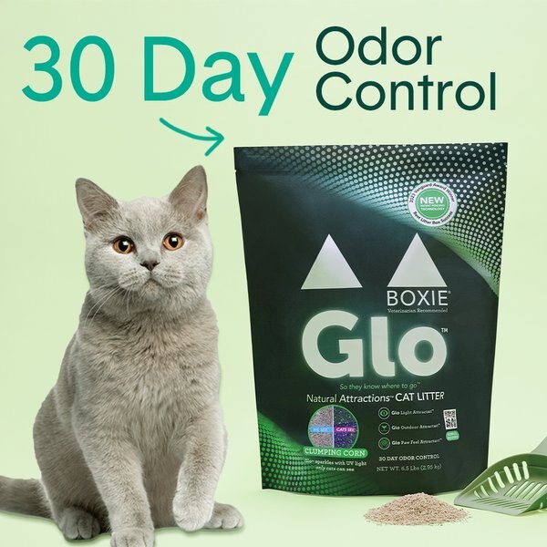 BOXIECAT Glo Corn Clumping Cat & Kitty Litter, 16.5-lb bag - Chewy.com