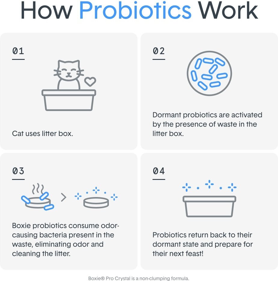 BOXIECAT Self-Cleaning Probiotic Clumping Clay Cat & Kitty Litter, 40 ...