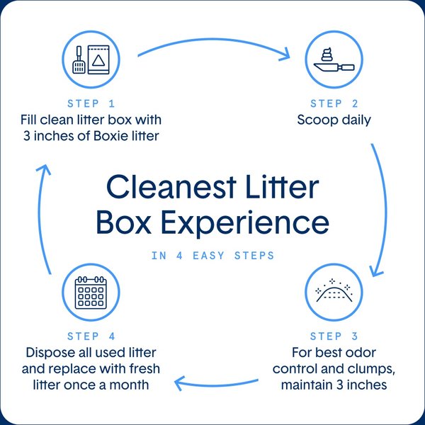 BOXIECAT Self-Cleaning Probiotic Clumping Clay Cat & Kitty Litter, 40 ...