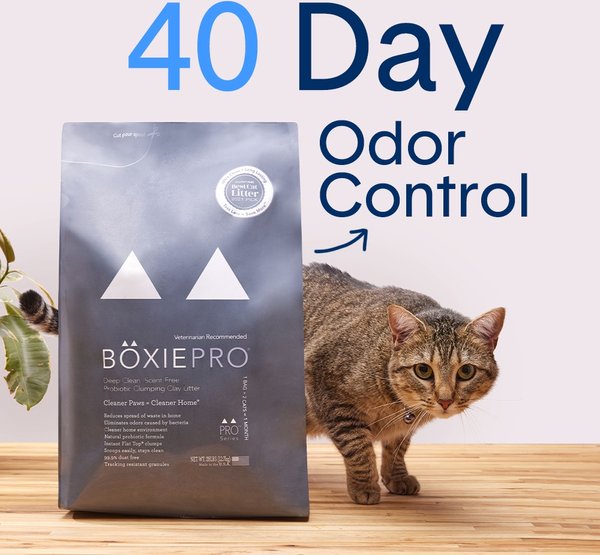 BOXIECAT Self-Cleaning Probiotic Clumping Clay Cat & Kitty Litter, 40 ...