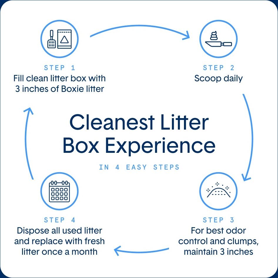 BOXIECAT Self-Cleaning Probiotic Clumping Clay Cat & Kitty Litter, 16 ...