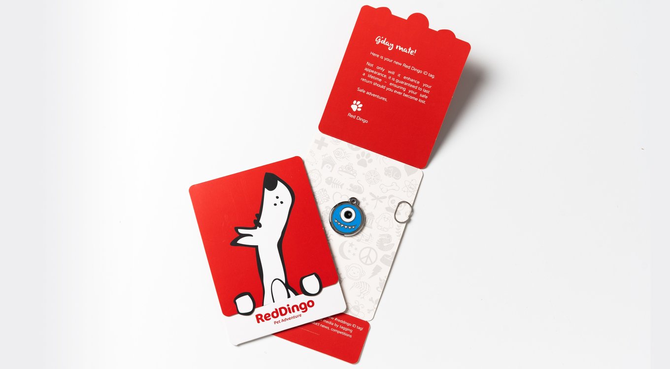 RED DINGO Glitter Paw Print Stainless Steel Personalized Dog & Cat ID ...