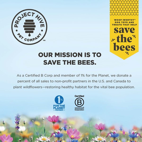 PROJECT HIVE PET COMPANY Hive Dental Stick Dog Chew Treat, Large, 12-oz ...