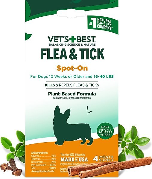 Best flea and tick treatment for dogs store