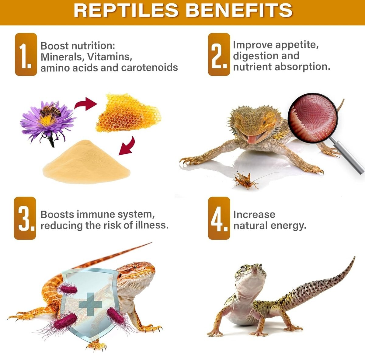 GARGEER Bee Pollen Reptile Supplement, 4-oz bag - Chewy.com