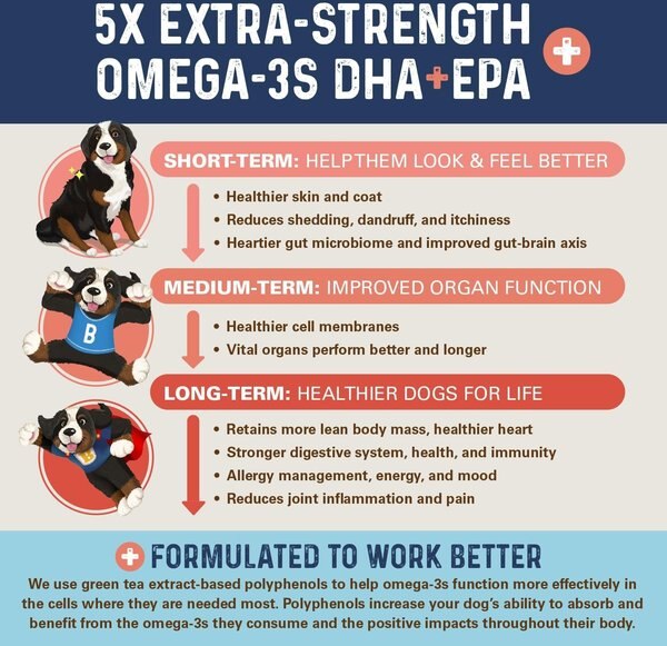 BERNIE'S OMG! Omegas 5X Extra Strength Omega-3s DHA+EPA Skin & Coat ...