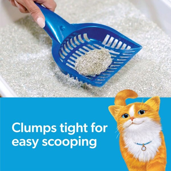 FRESH STEP Febreze Freshness Gain Scented Clumping Clay Cat Litter, 42 ...