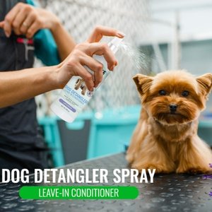 10 Best Detangling & Grooming Sprays for Dogs 2025: According to ...