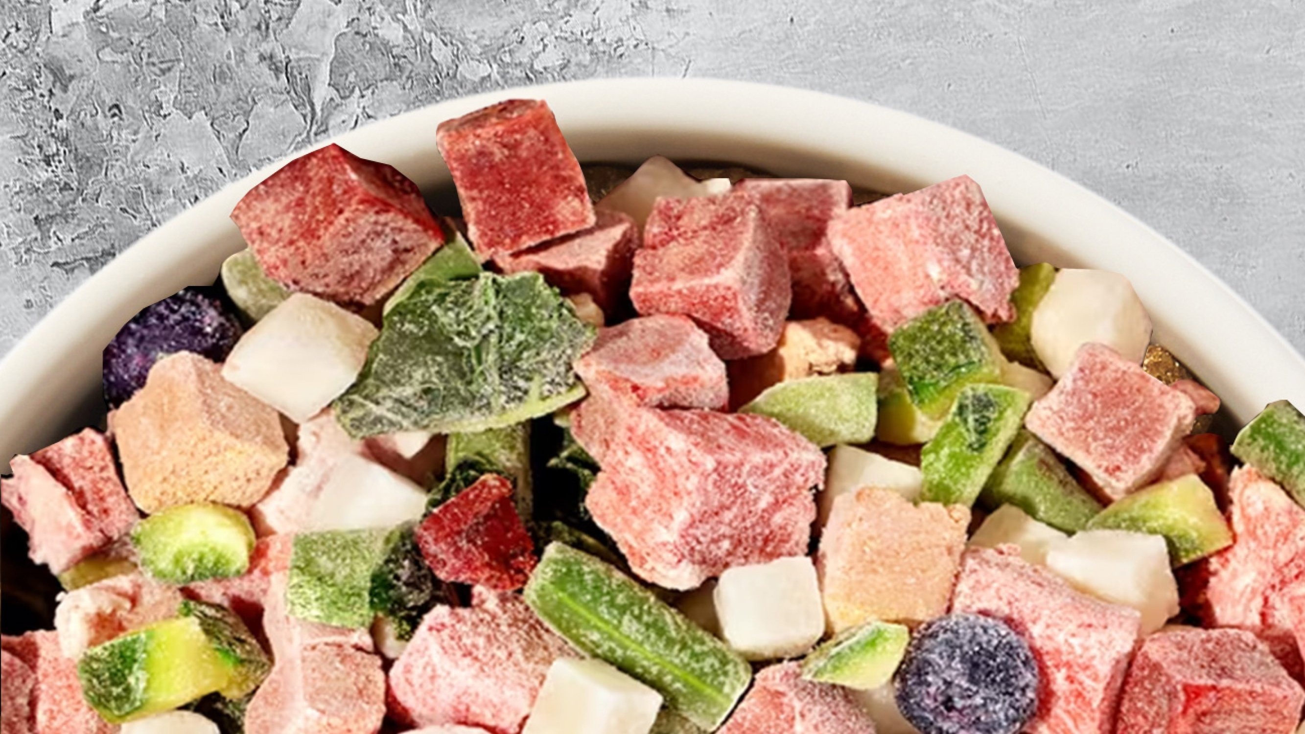 Fresh & Raw Dog Food - Free Shipping | Chewy