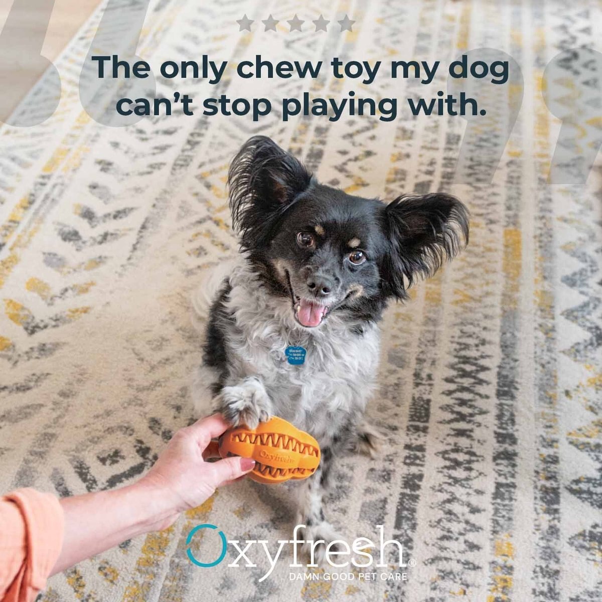 OXYFRESH Natural Rubber Dog Dental Chew Toy, Teal, Small - Chewy.com