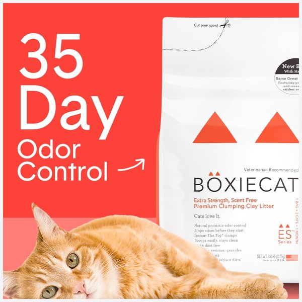 BOXIECAT Extra Strength Odor Control Clumping Clay Cat & Kitty Litter ...
