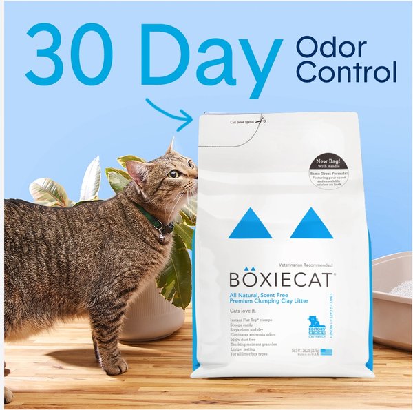BOXIECAT Unscented Odor Control Clumping Clay Cat & Kitty Litter, 40-lb ...