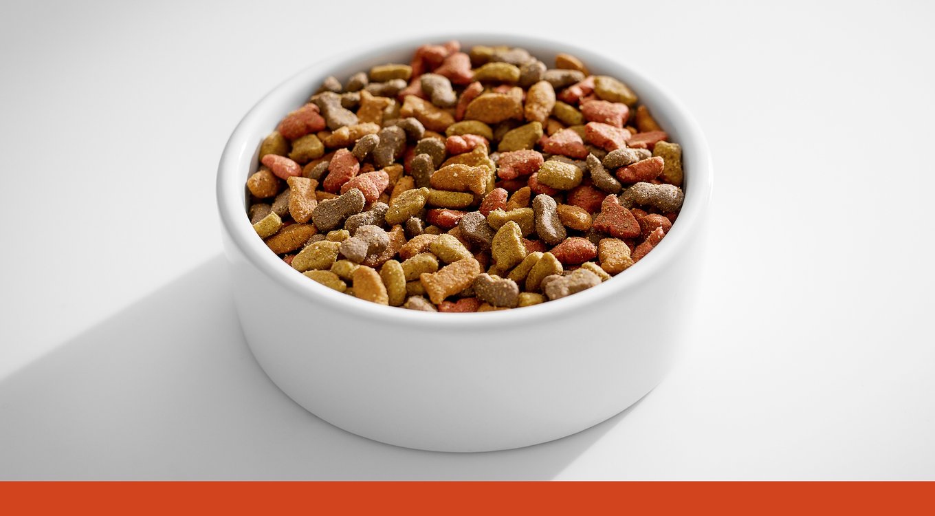 MEOW MIX Original Choice Dry Cat Food, 44-lb bundle - Chewy.com