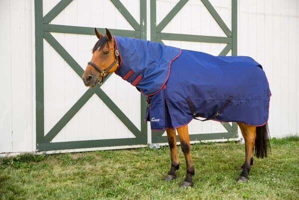 SHIRES EQUESTRIAN PRODUCTS Highlander Plus 300-g Neck Cover Horse ...