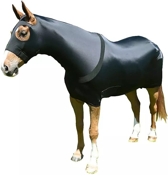 GATSBY StretchX Full Body Slicker Horse Sheet, Black, Small - Chewy.com