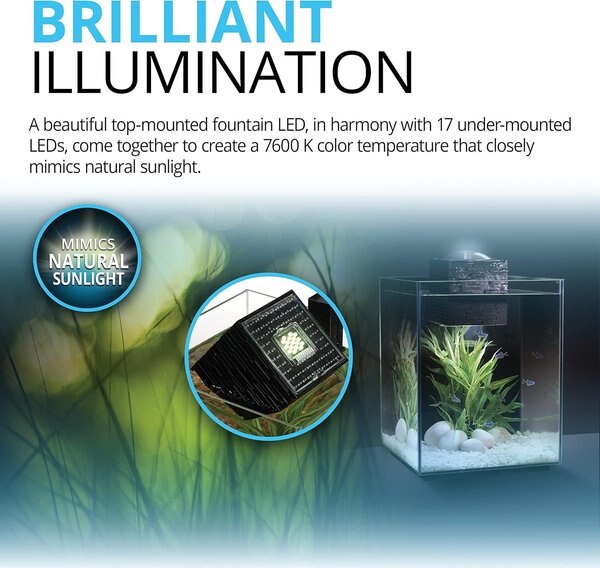 FLUVAL Chi Aquarium Kit, 5-gal - Chewy.com