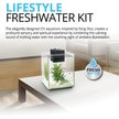 FLUVAL Chi Aquarium Kit, 5-gal - Chewy.com