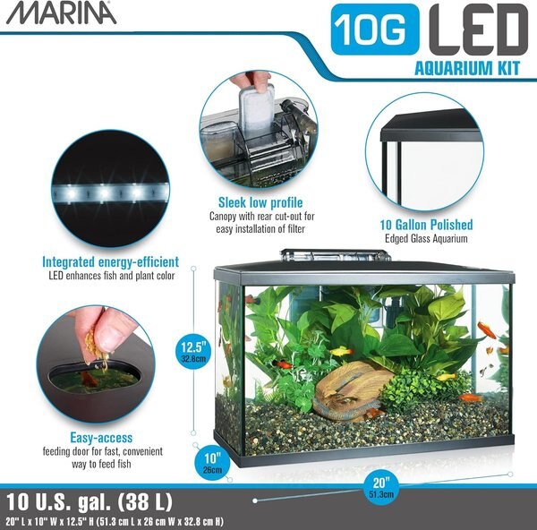 Out of Stock - MARINA 10G LED Aquarium Kit, 10-gal - Chewy.com