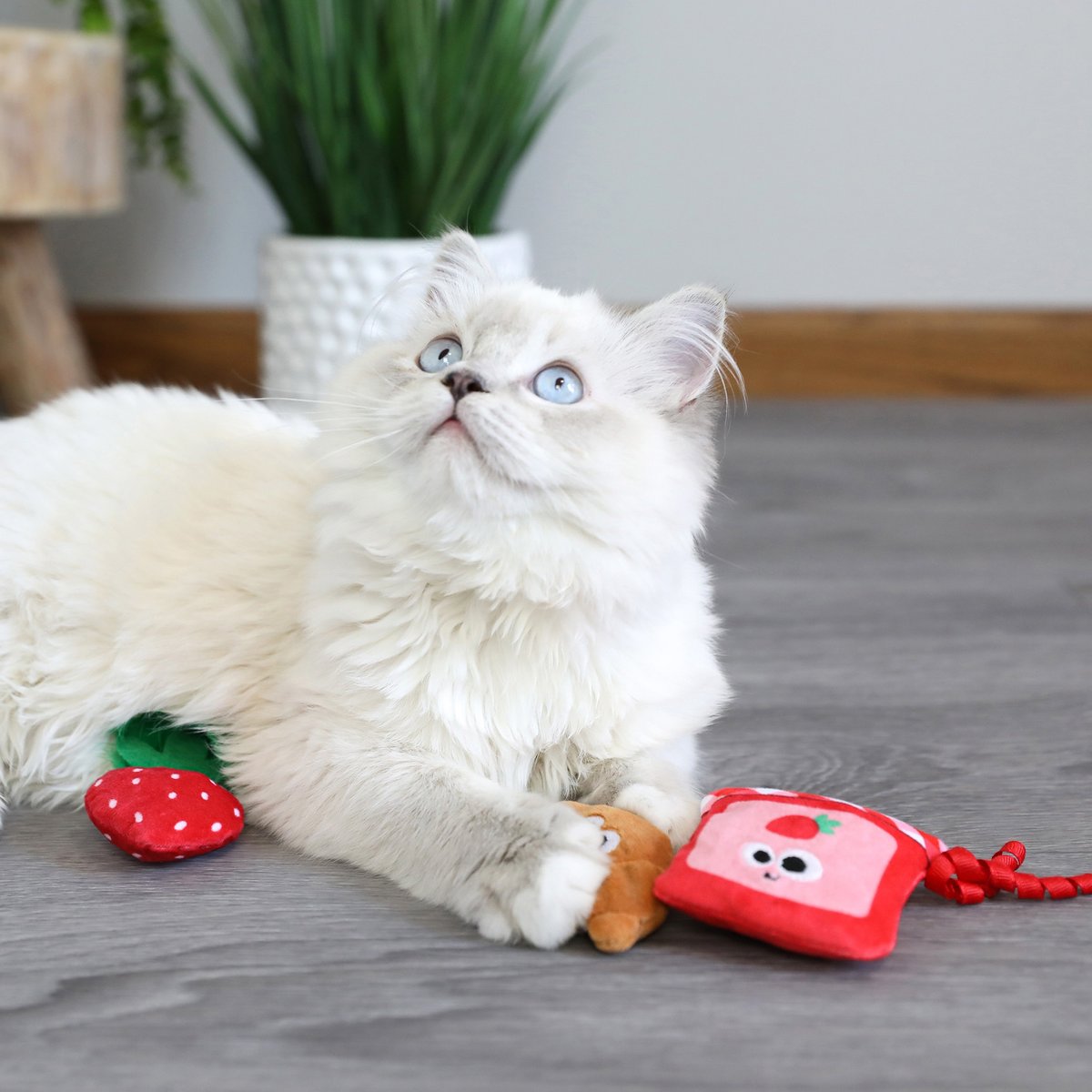 MAD CAT Kitty Croissant Cat Toy with Catnip, Multicolor, 3 count ...