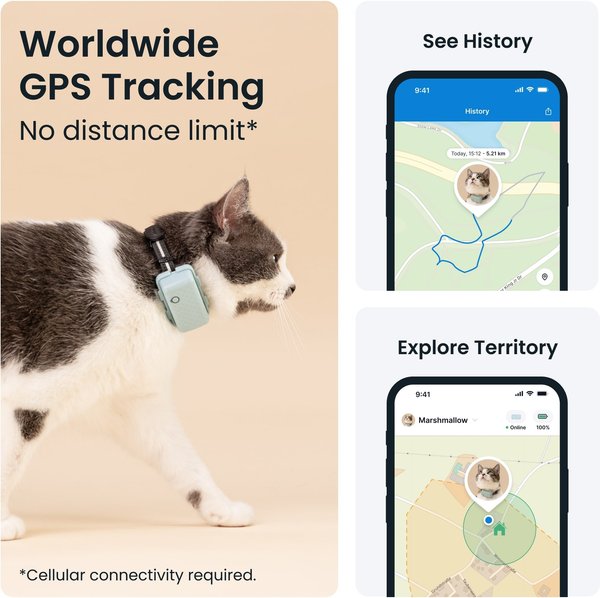 TRACTIVE Cat Mini GPS Tracker & Activity Monitor, Mint - Chewy.com