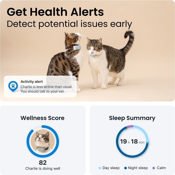 TRACTIVE Cat Mini GPS Tracker & Activity Monitor, Mint - Chewy.com