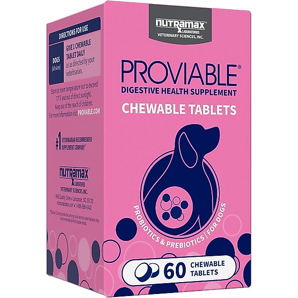 NUTRAMAX Proviable Chewable Tablet Digestive Supplement for Dogs, 60 count - Chewy.com