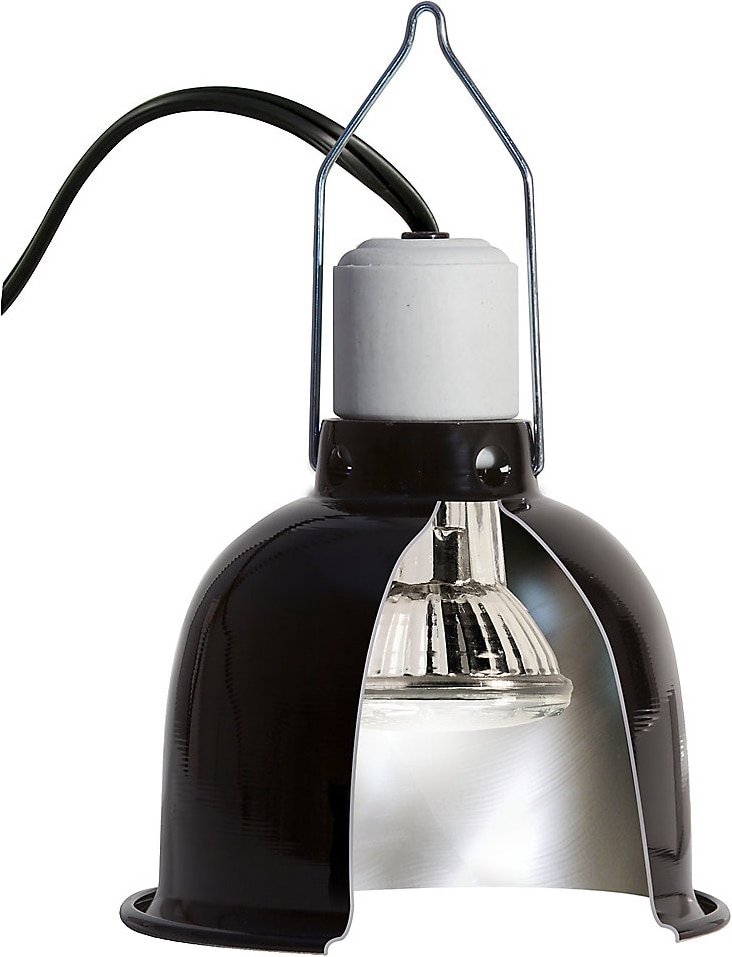 ZOO MED Repti Tuff Splashproof Halogen Reptile Terrarium Lamp, 50-watt ...