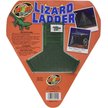 ZOO MED Lizard Ladder - Chewy.com