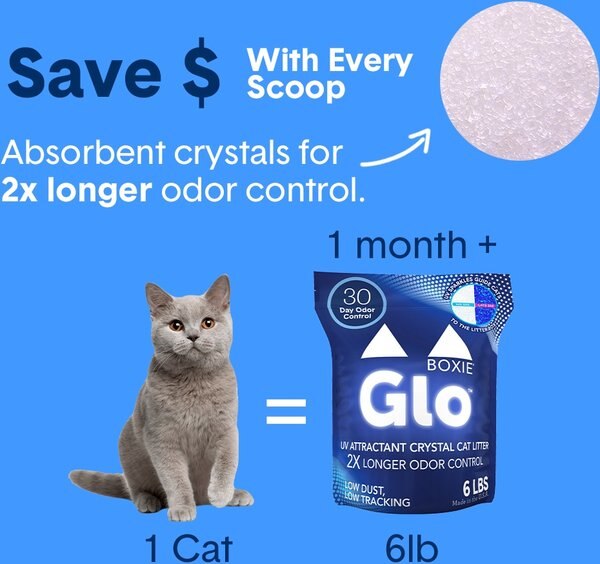 BOXIECAT Glo Natural Stress-Relief Non-Clumping Crystal Cat Litter with ...