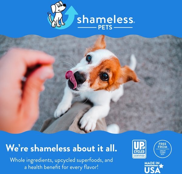 SHAMELESS PETS Bacon, Banana, & Peanut Butter Soft Baked Dog Treats, 6 ...