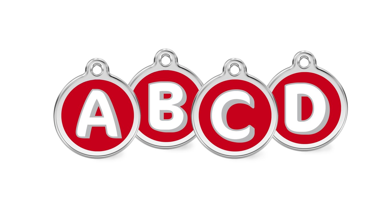 RED DINGO Alphabet Stainless Steel Personalized Dog & Cat ID Tag ...