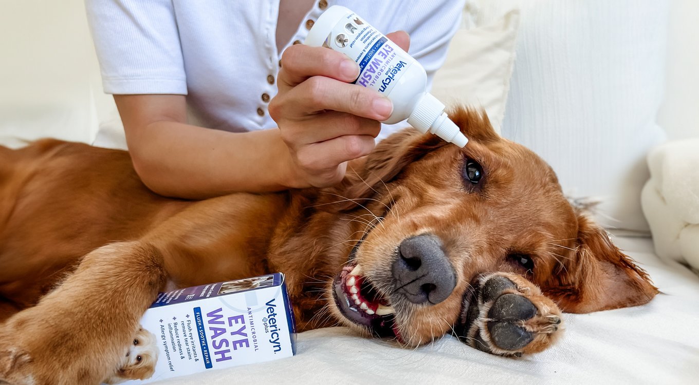 Vetericyn Plus Antimicrobial Ophthalmic Pet Gel (Free Shipping) | Chewy